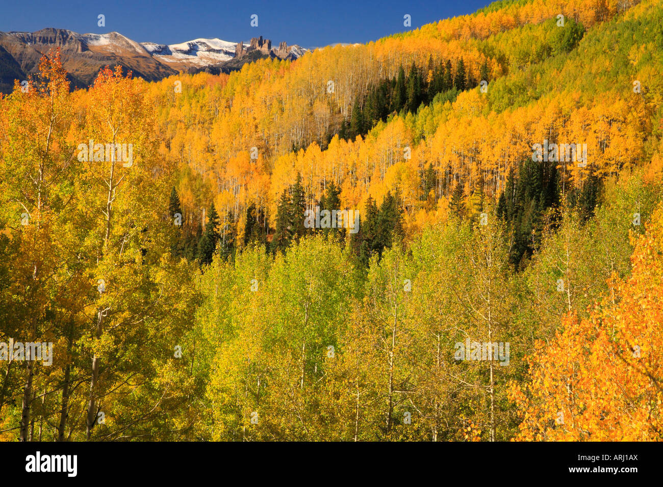 The Castles Seen From Ohio Creek Pass Road, Gunnison, Colorado, USA ...