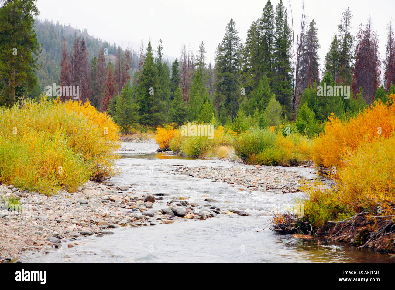 Big Wood River, Idaho Sawtooth Mountain Range National Recreation Area ...