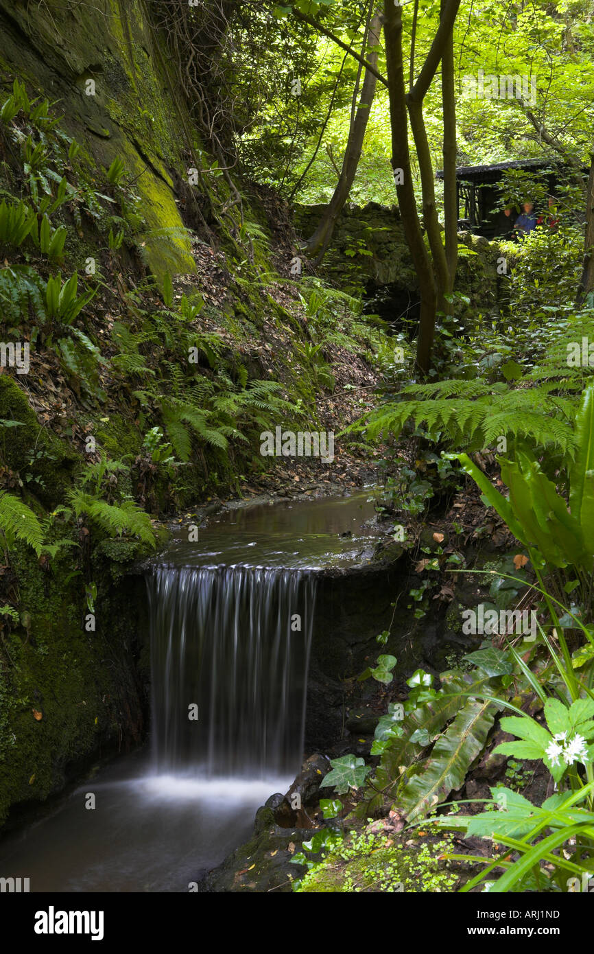 Shanklin chine isle of wight hi-res stock photography and images - Alamy