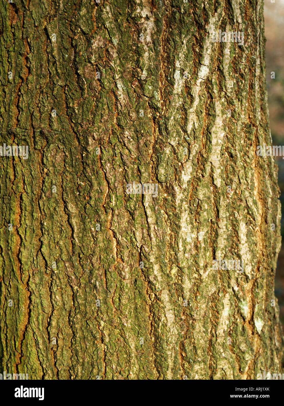 Rough feel hi-res stock photography and images - Alamy