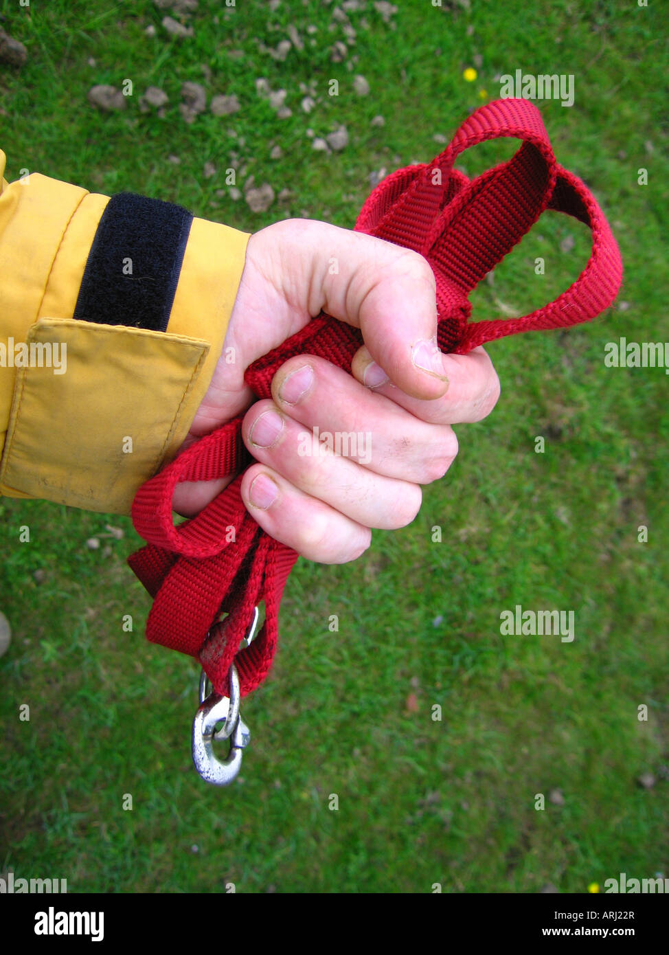 Mans hand holding dog lead Stock Photo - Alamy