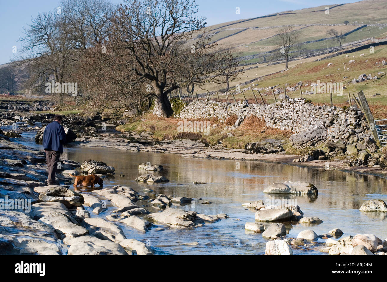 Man and his dog by the River Wharfe in Langstrothdale, Yorkshire Dales ...