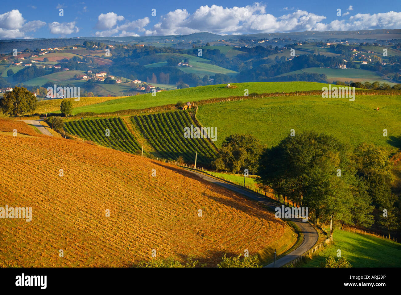Landscape in the Pays Basque France Stock Photo - Alamy