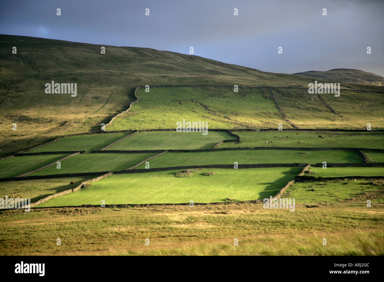 Birker fell hi-res stock photography and images - Alamy