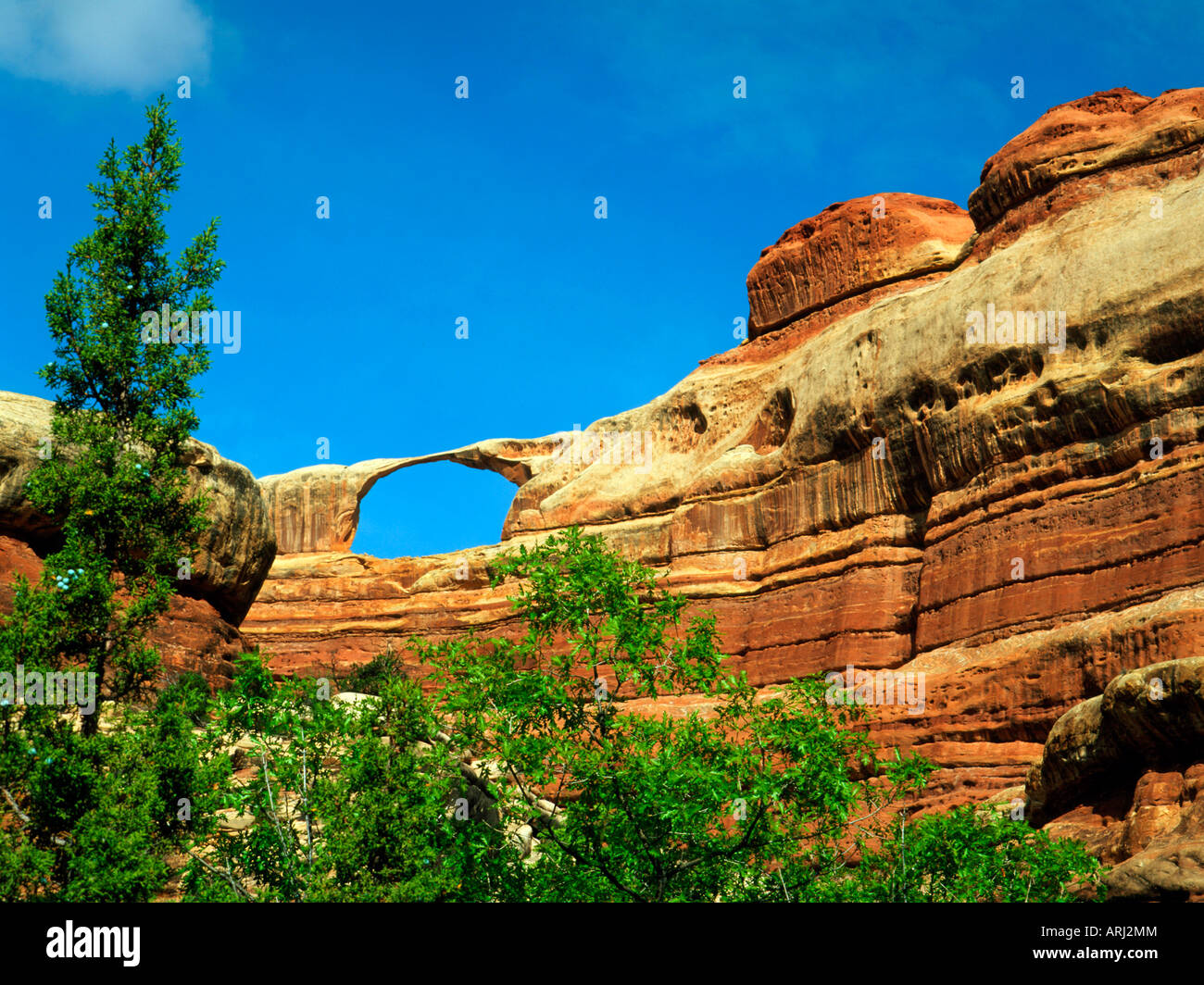 Sandstone canyon and Castle Arch, Needles District of Canyonlands ...