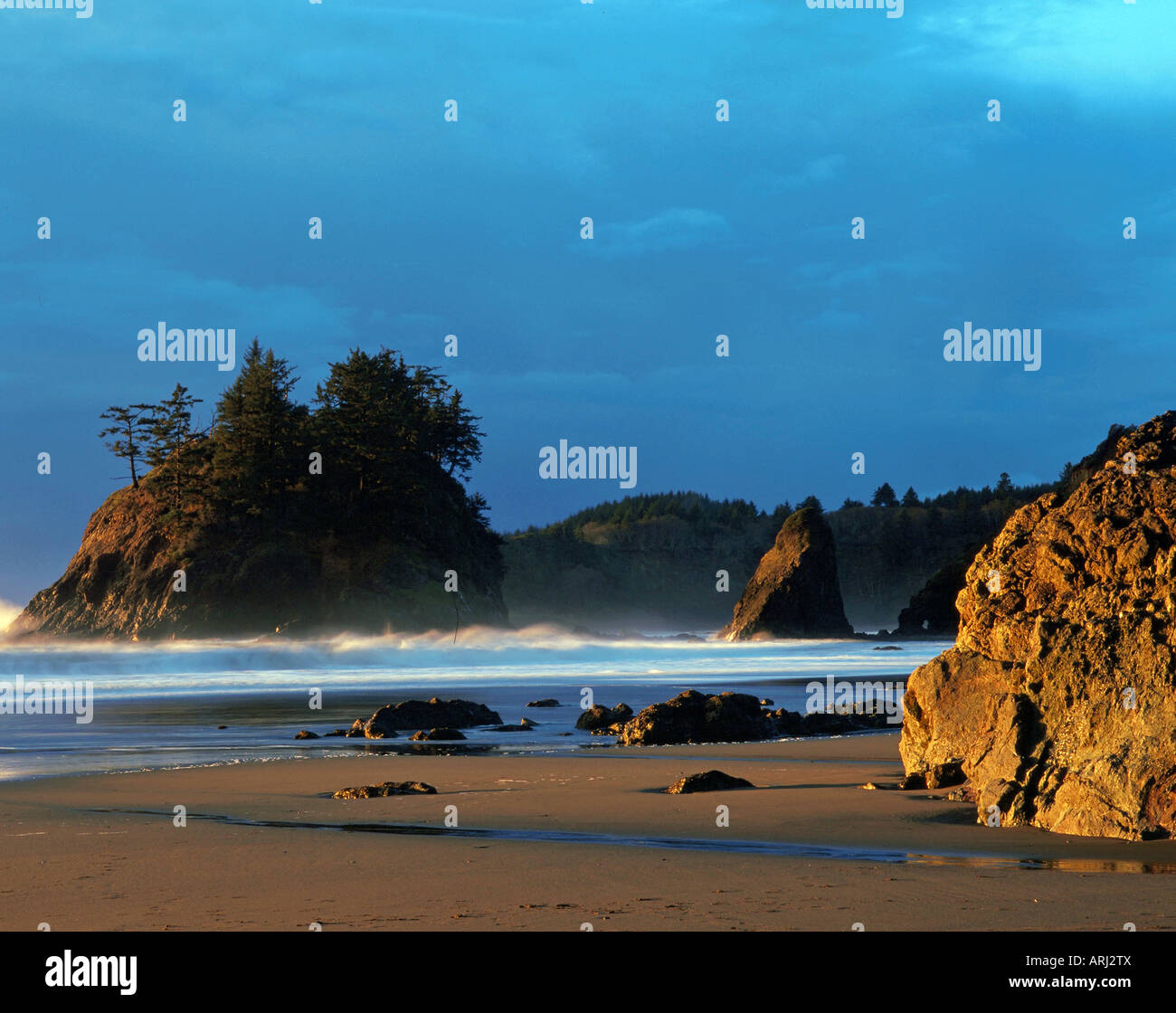 Trinidad state beach hi-res stock photography and images - Alamy