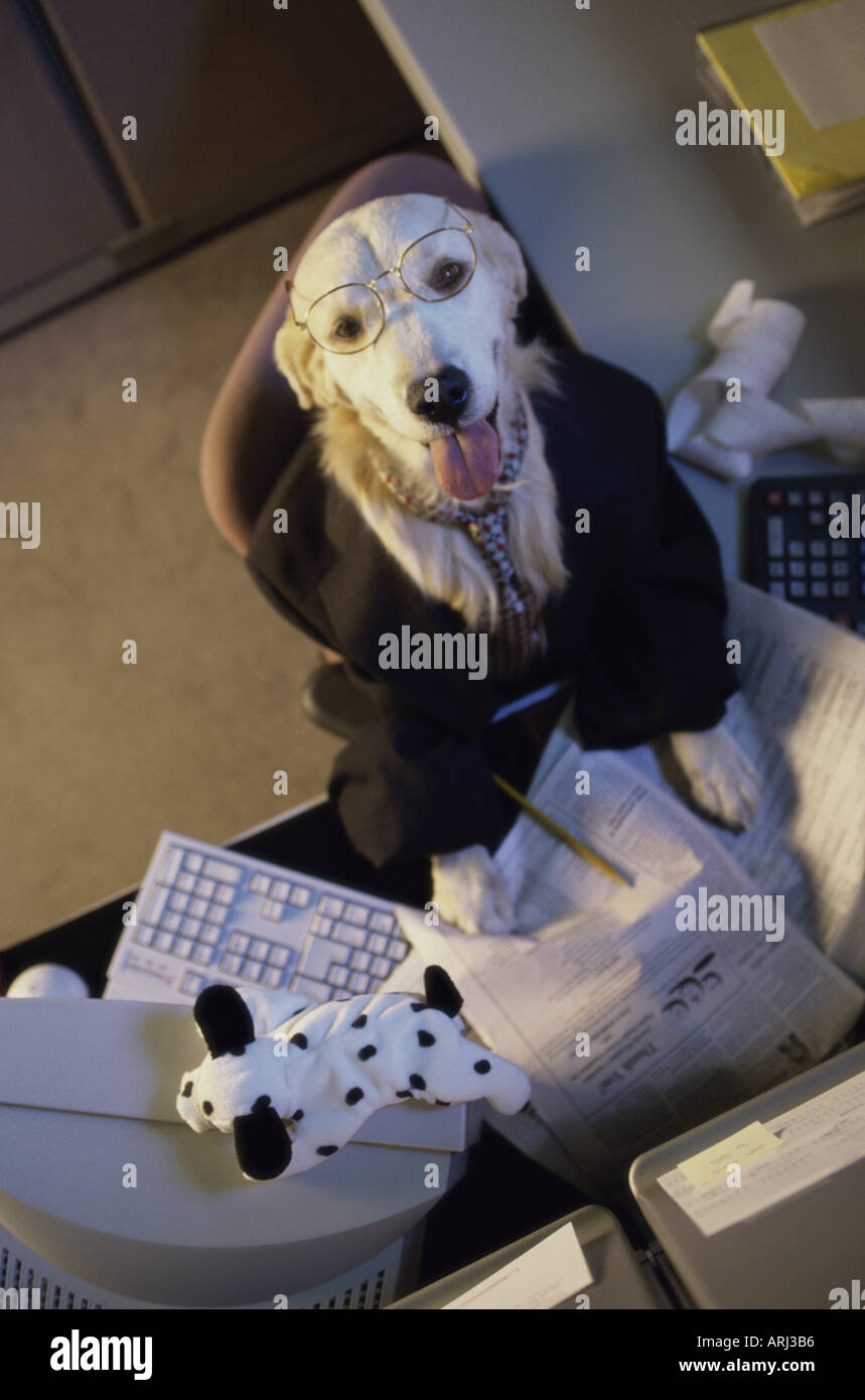 Personification animal hi-res stock photography and images - Alamy