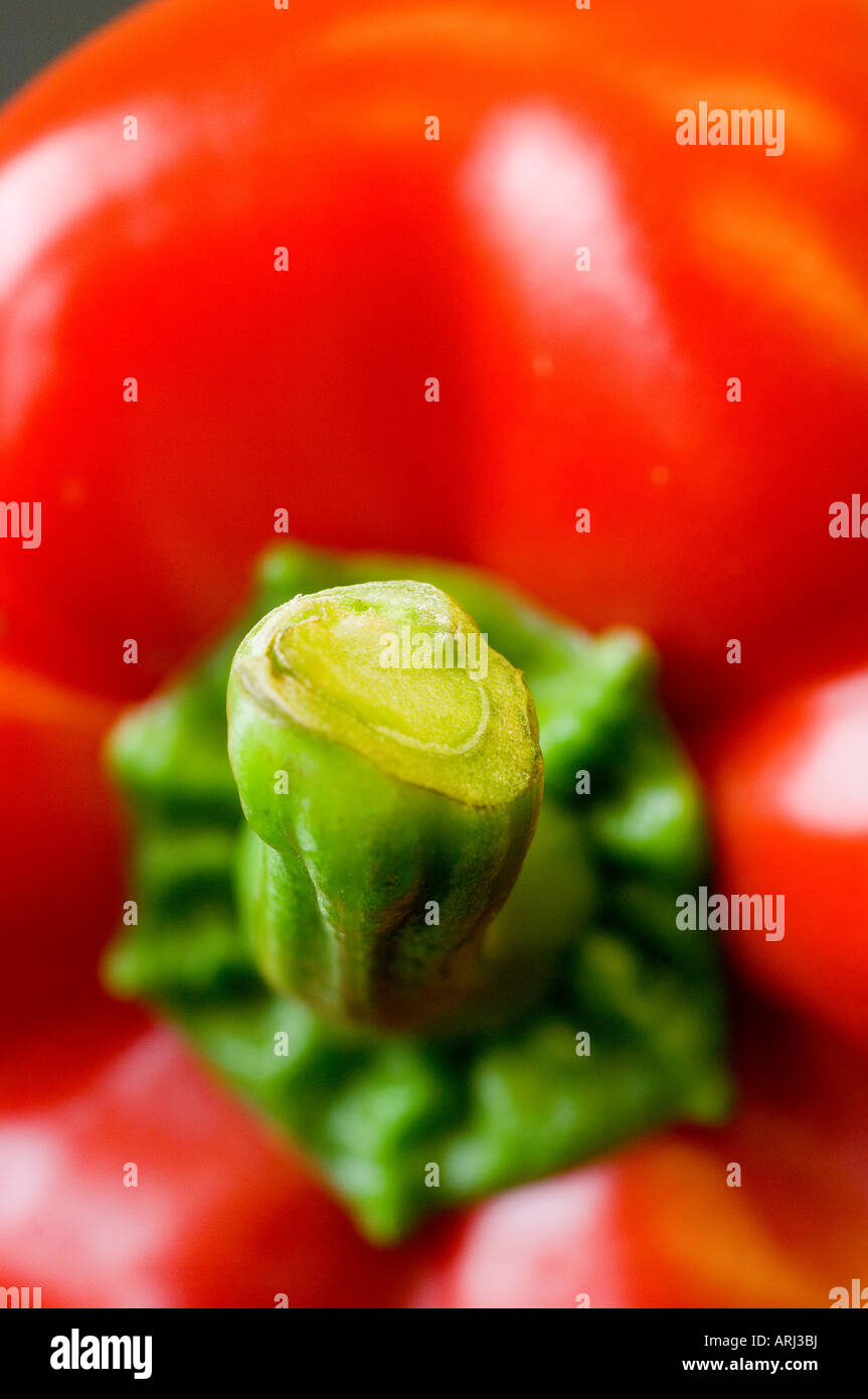 A close up of a Red organic Bell Peppers Stalk with the vegetables ...