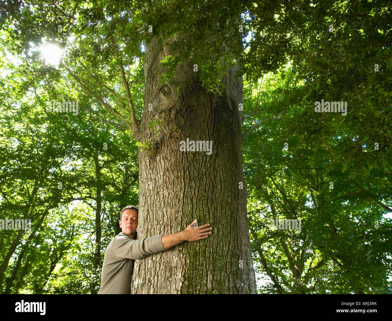 Man embracing a tree trunk Stock Photo - Alamy