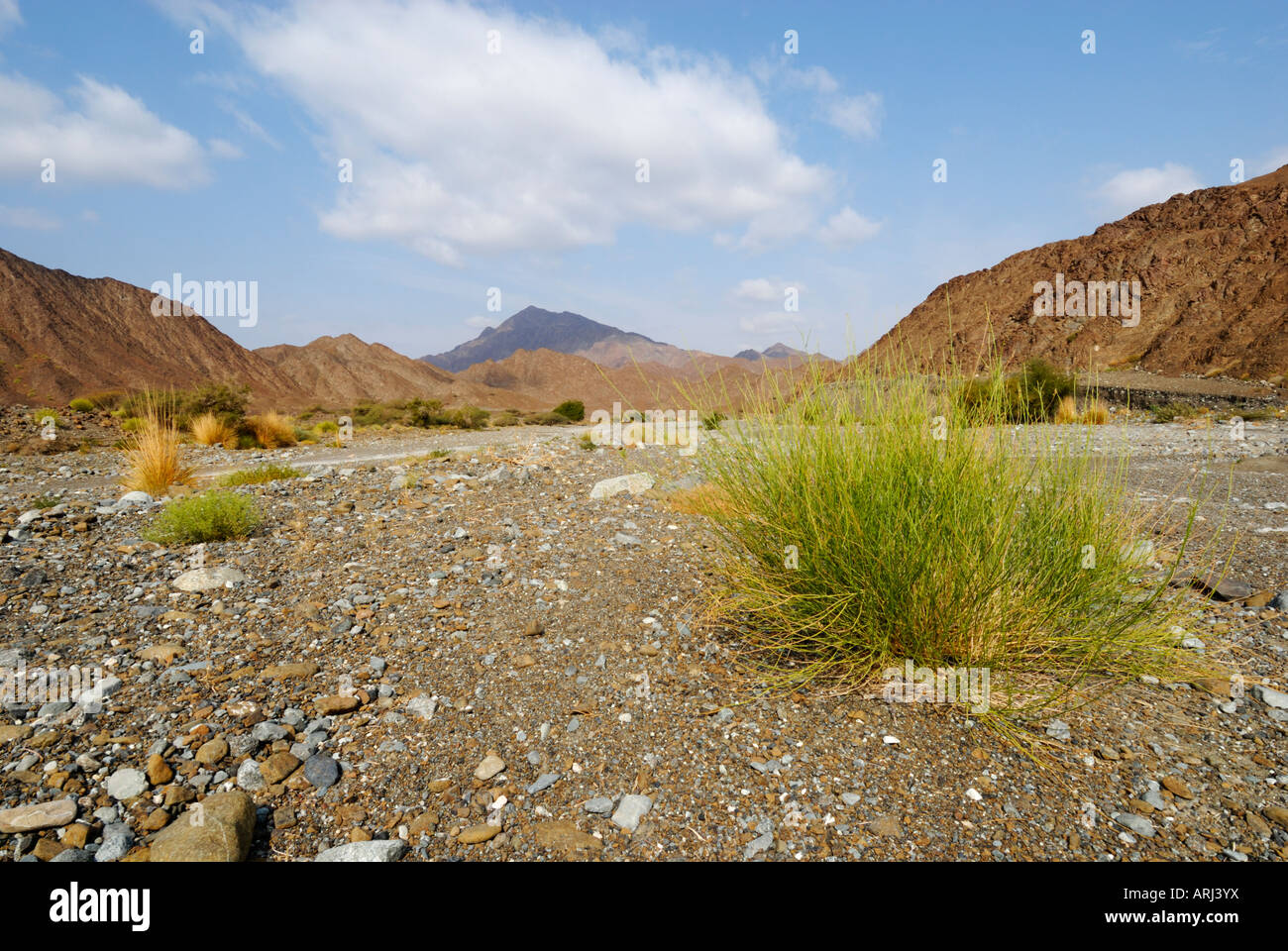 Dry wadi, Oman Stock Photo - Alamy