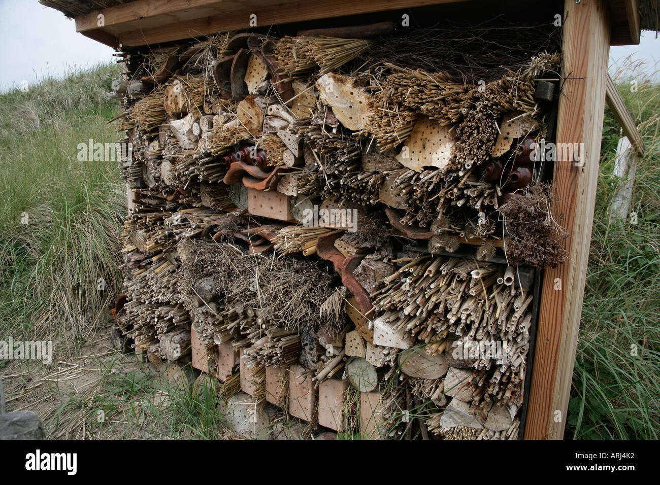 INSECT BOXES Homes or nest boxes designed to encourage insects Texal ...