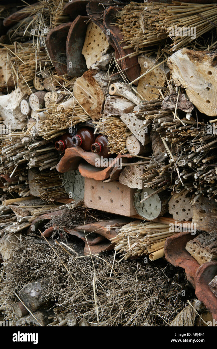 Encourage insects hi-res stock photography and images - Alamy