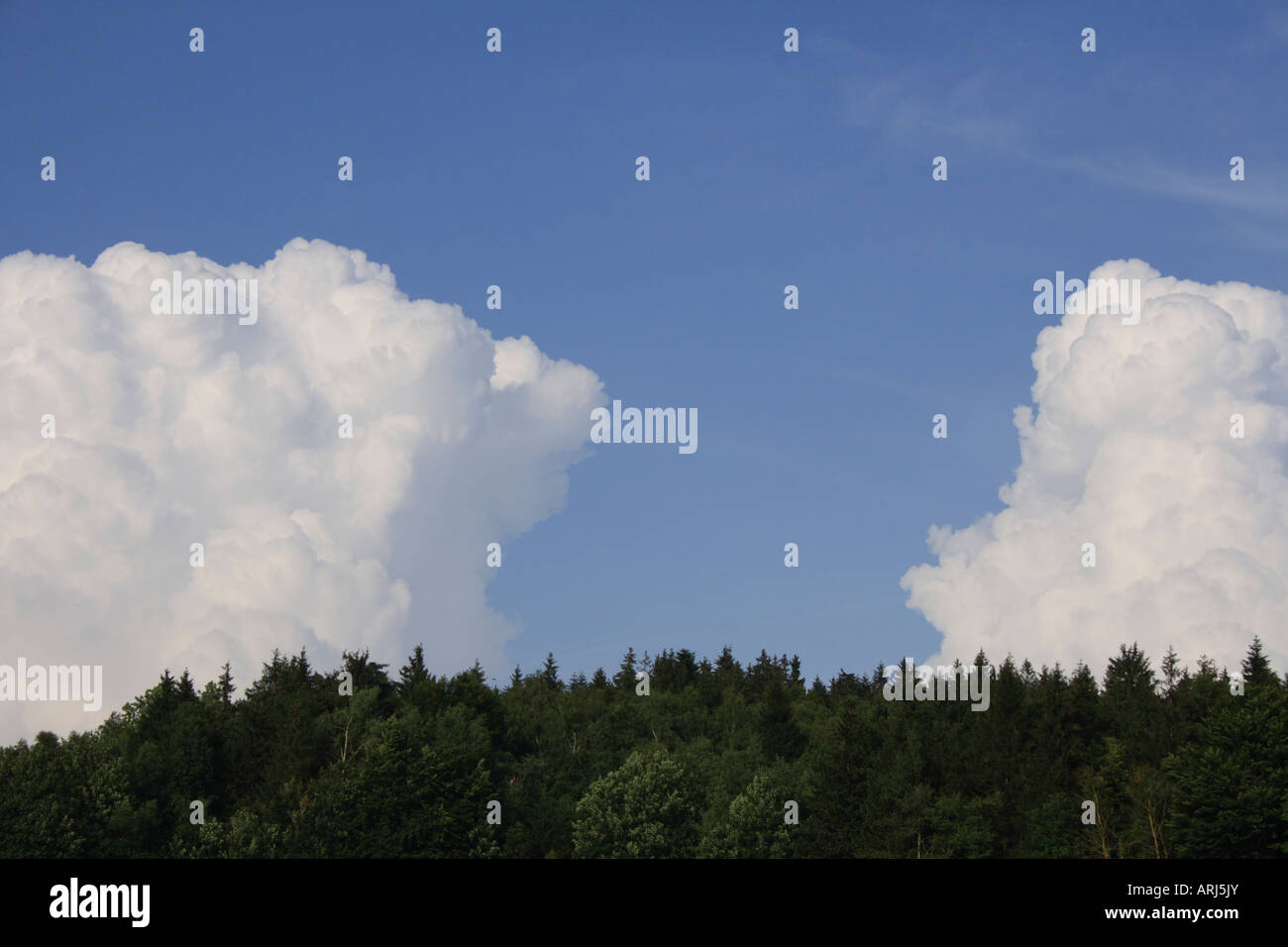 Storm clouds gathering against a blue sky above tree tops. Photo by ...