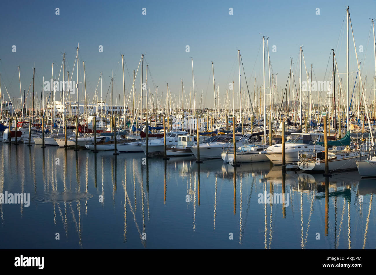 Westhaven Marina Waitemata Harbour Auckland North Island New Zealand ...