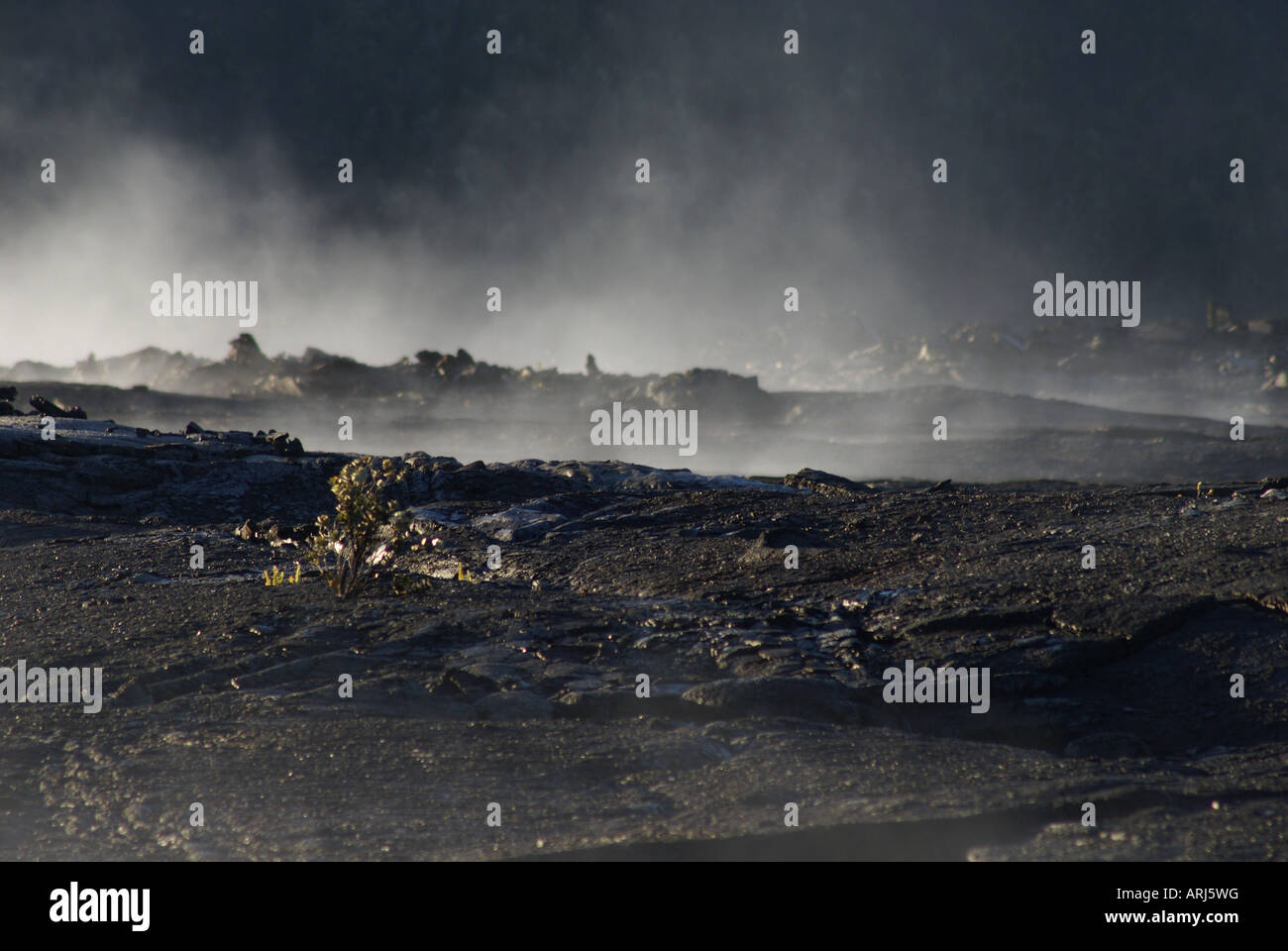 Floor of main caldera of Mount Kilauea in the early morning Stock Photo ...