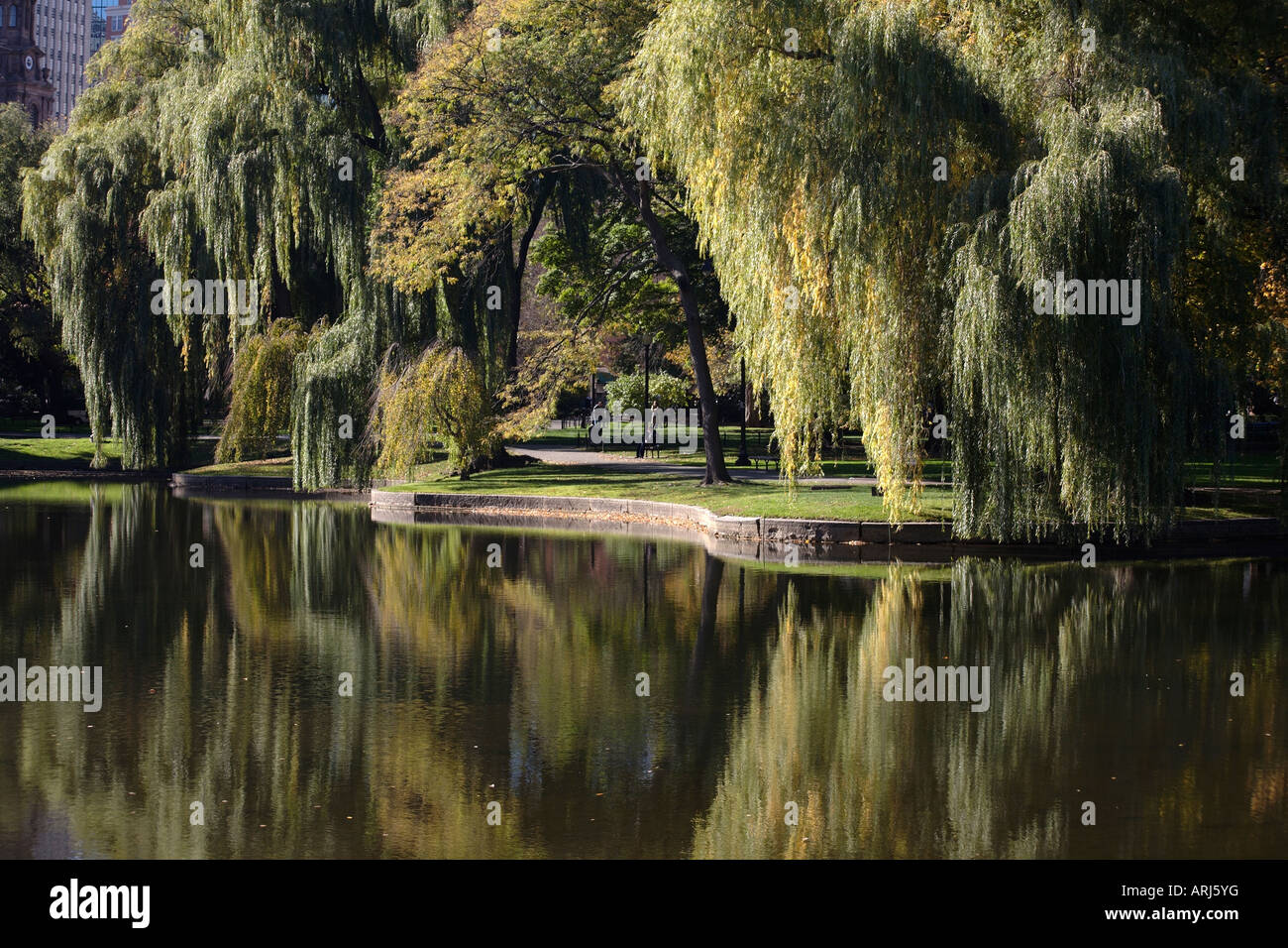 Boston lake hi-res stock photography and images - Alamy