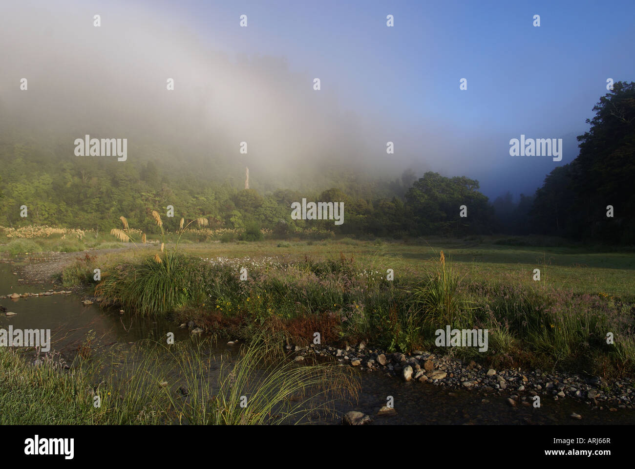 Kaitoke Regional Park High Resolution Stock Photography and Images - Alamy