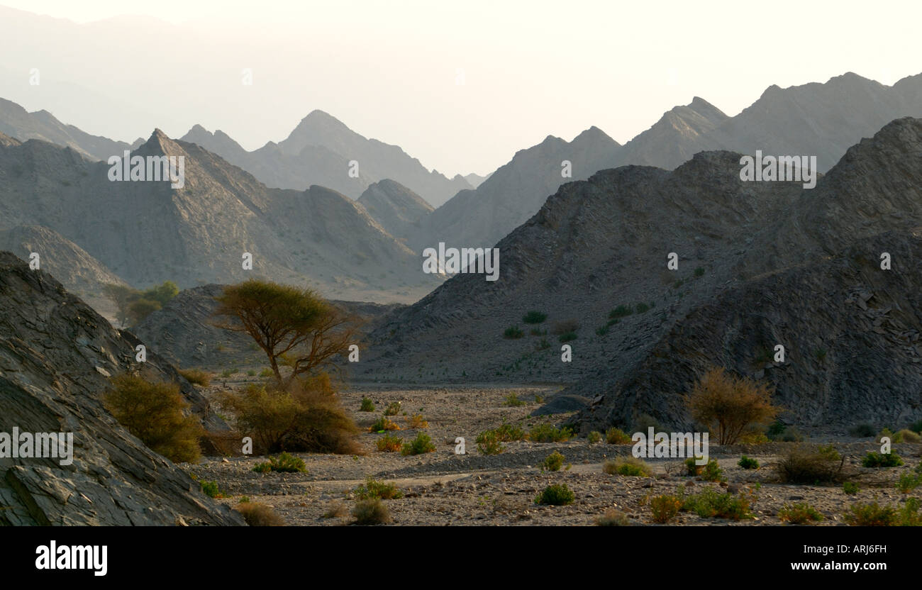 Hajar Mountains, early morning, Oman Stock Photo - Alamy