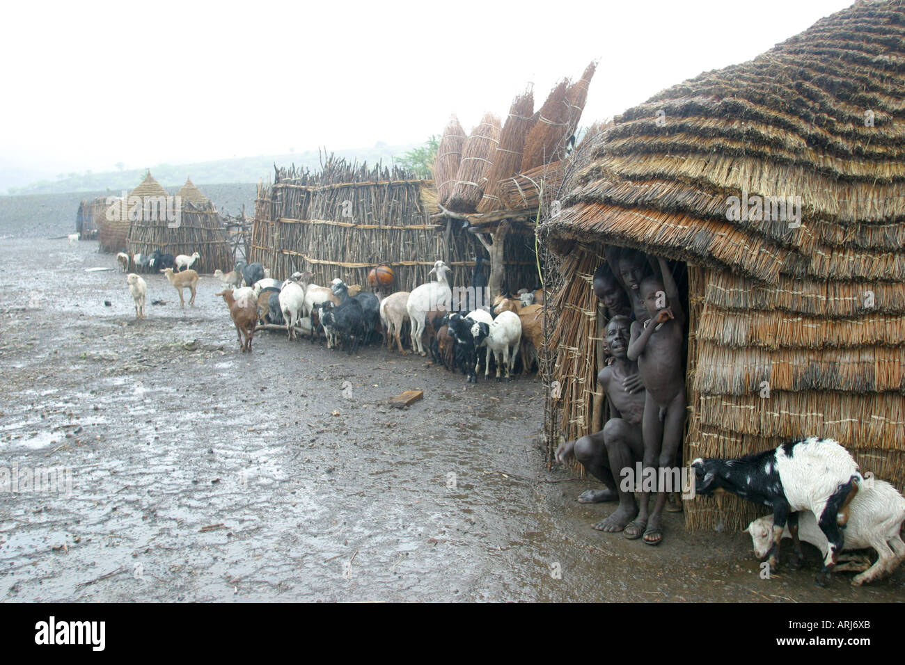 Toposa village at rain, Sudan Stock Photo - Alamy