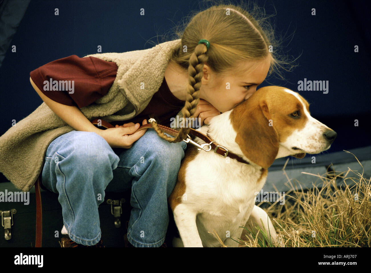 Beagle snuggle hi-res stock photography and images - Alamy