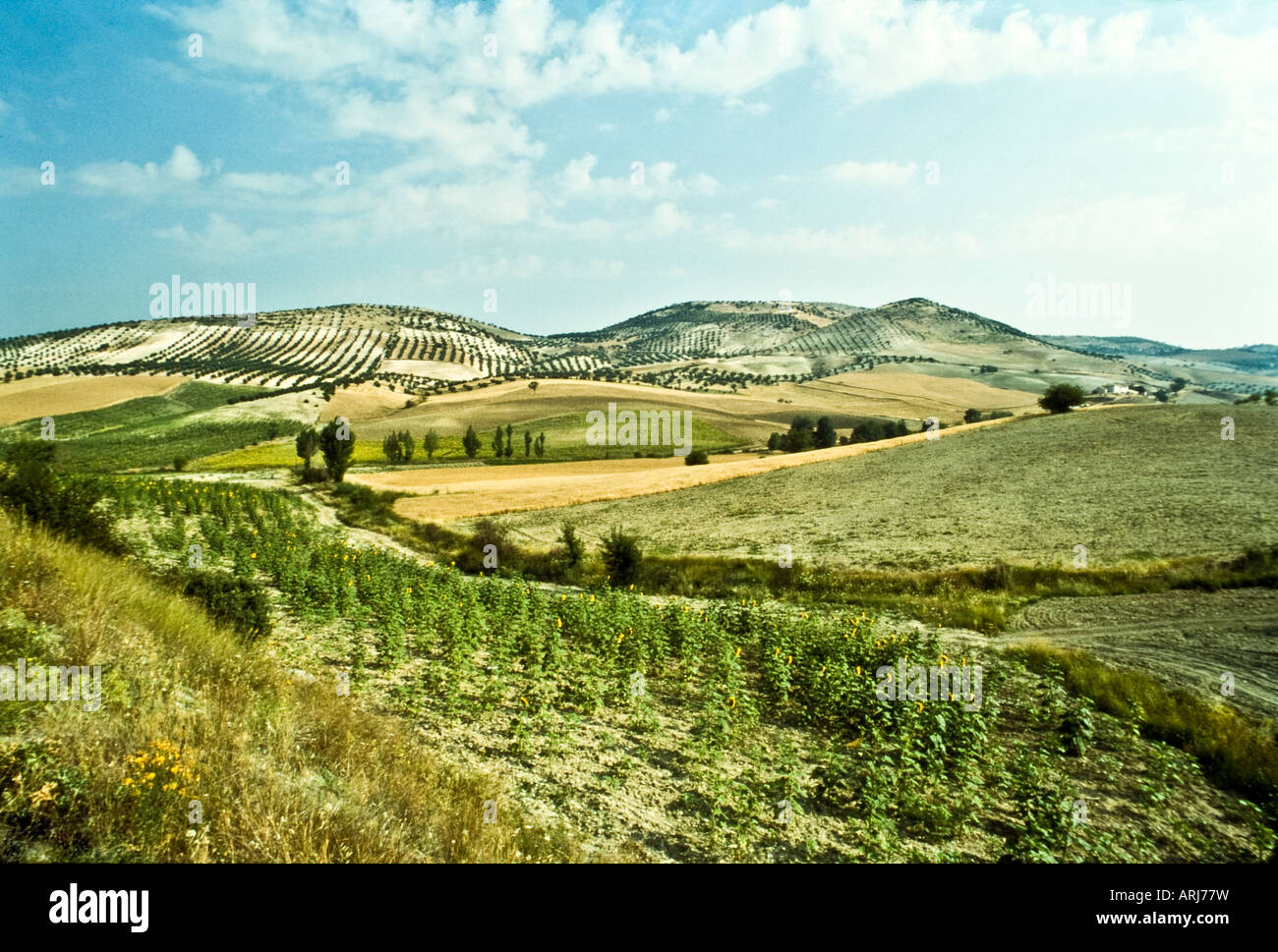 Spanish farmland on the road from Granada to Toledo Stock Photo - Alamy