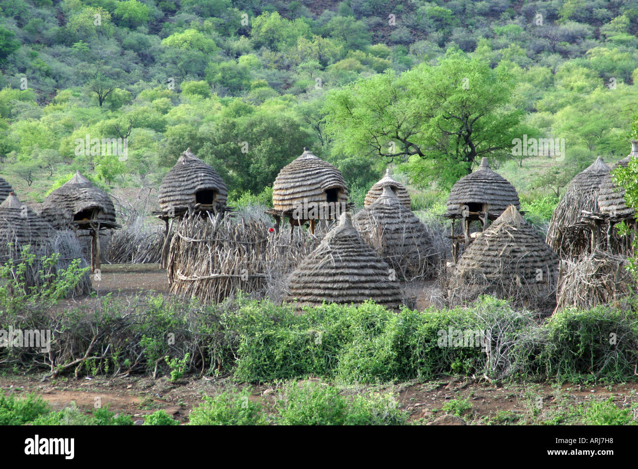 Toposa village in savanna, Sudan Stock Photo - Alamy