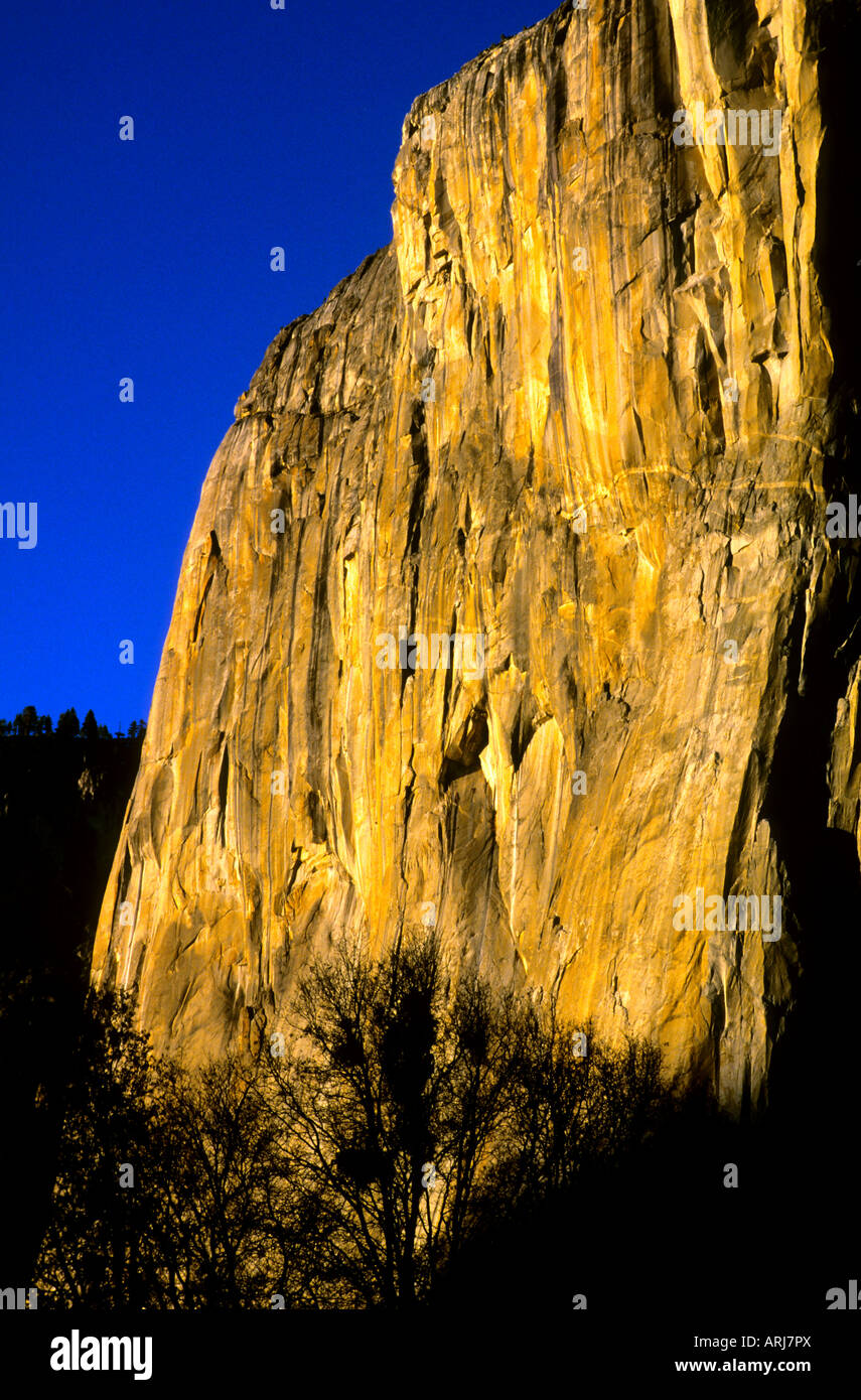 Yosemite National Park El Capitan at sunset Stock Photo - Alamy