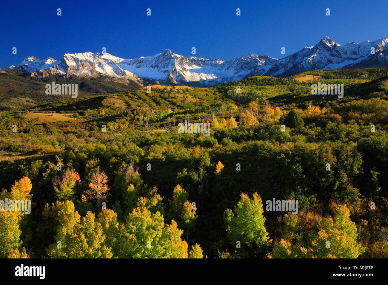 Sneffels Range, Dallas Divide, Ridgeway, Colorado, USA Stock Photo - Alamy