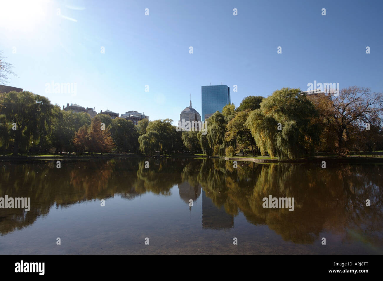 View of trees and lake. Boston public garden, Boston, Massachusetts ...