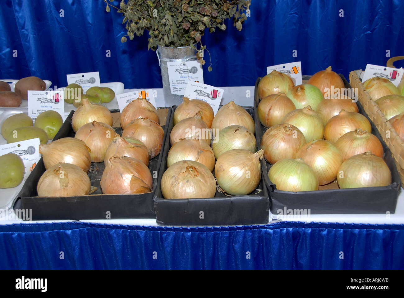 Michigan grown hi-res stock photography and images - Alamy