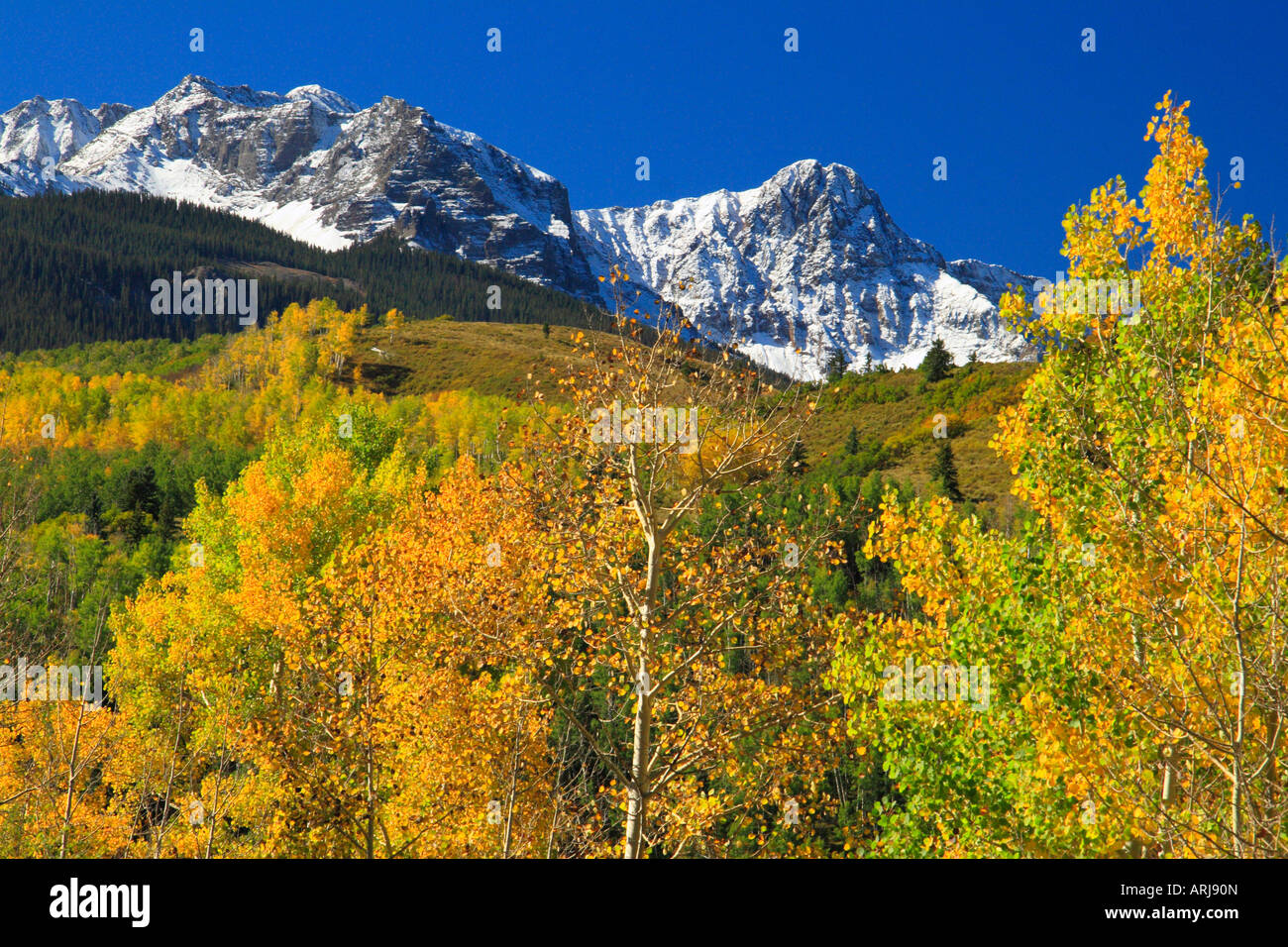 Sneffels Range, East Dallas Road, Ridgeway, Colorado, USA Stock Photo ...