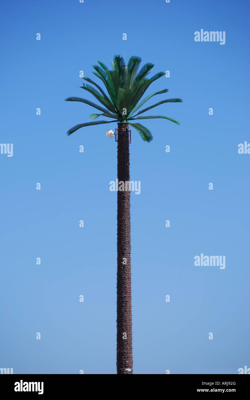 Hidden mast hi-res stock photography and images - Alamy