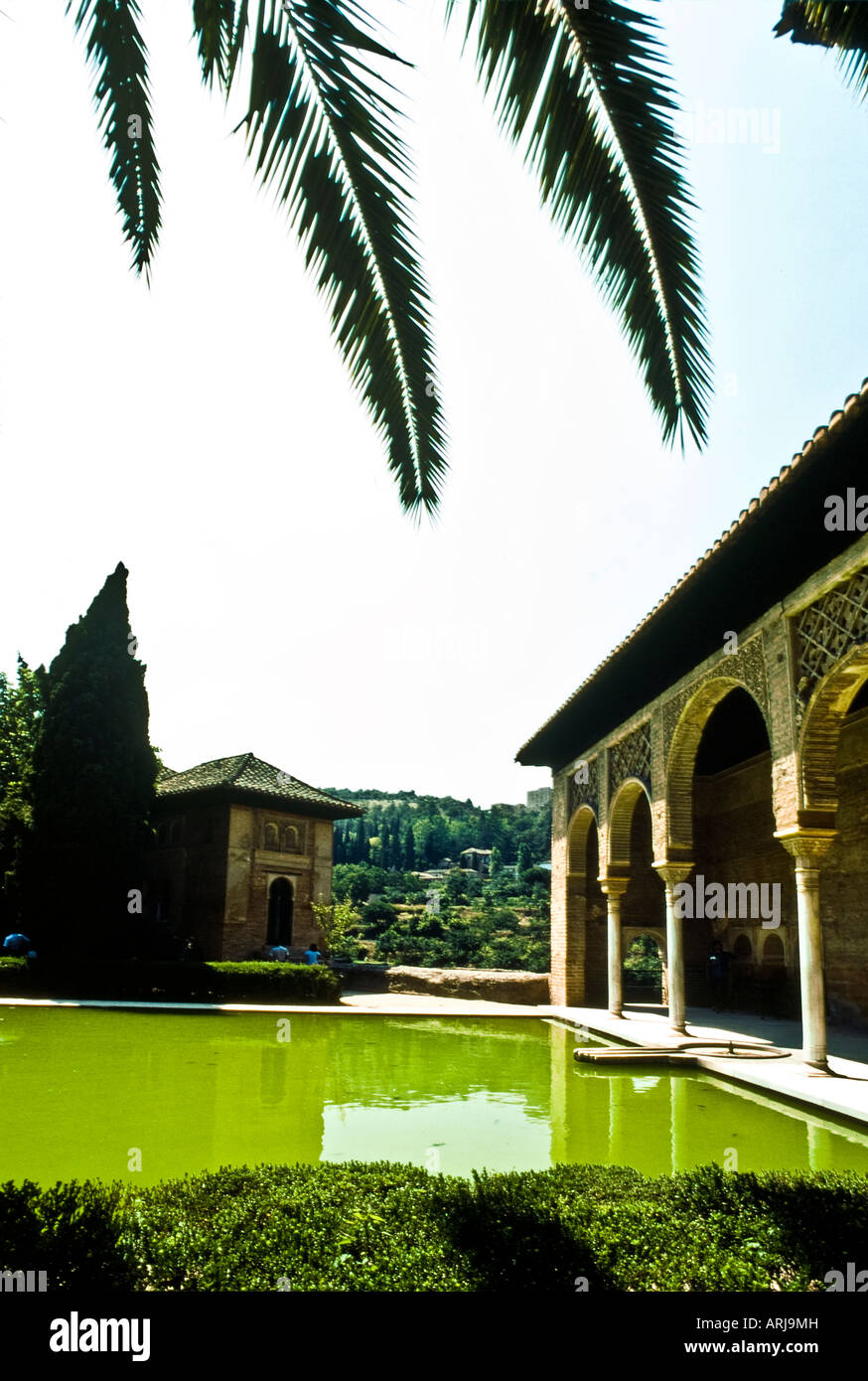 Pool of El Partal Alhambra Granada, Spain Stock Photo - Alamy