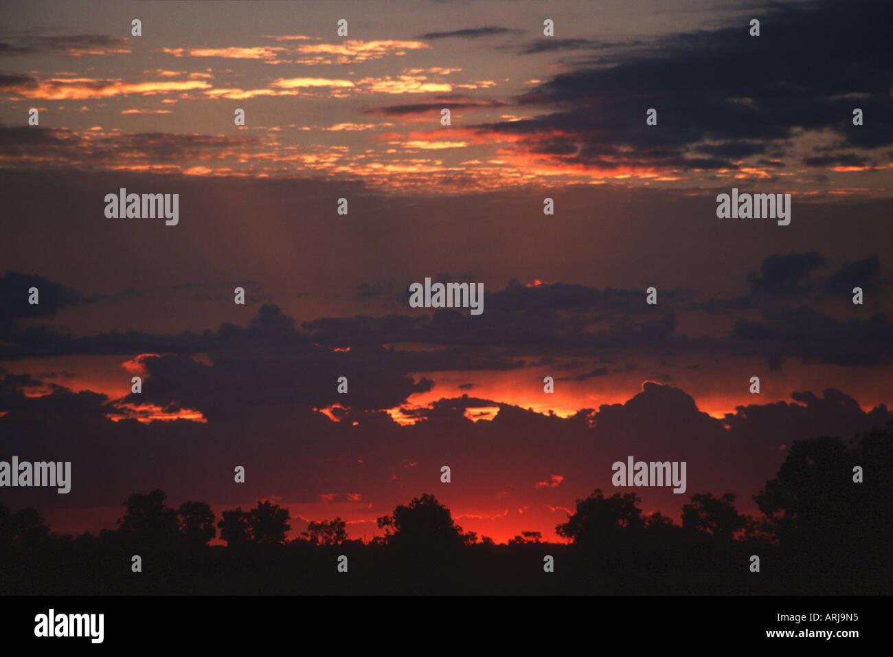 Tanami desert australia hi-res stock photography and images - Alamy