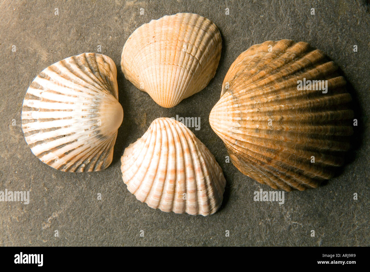 China clay mining industry Cornwall UK Stock Photo - Alamy