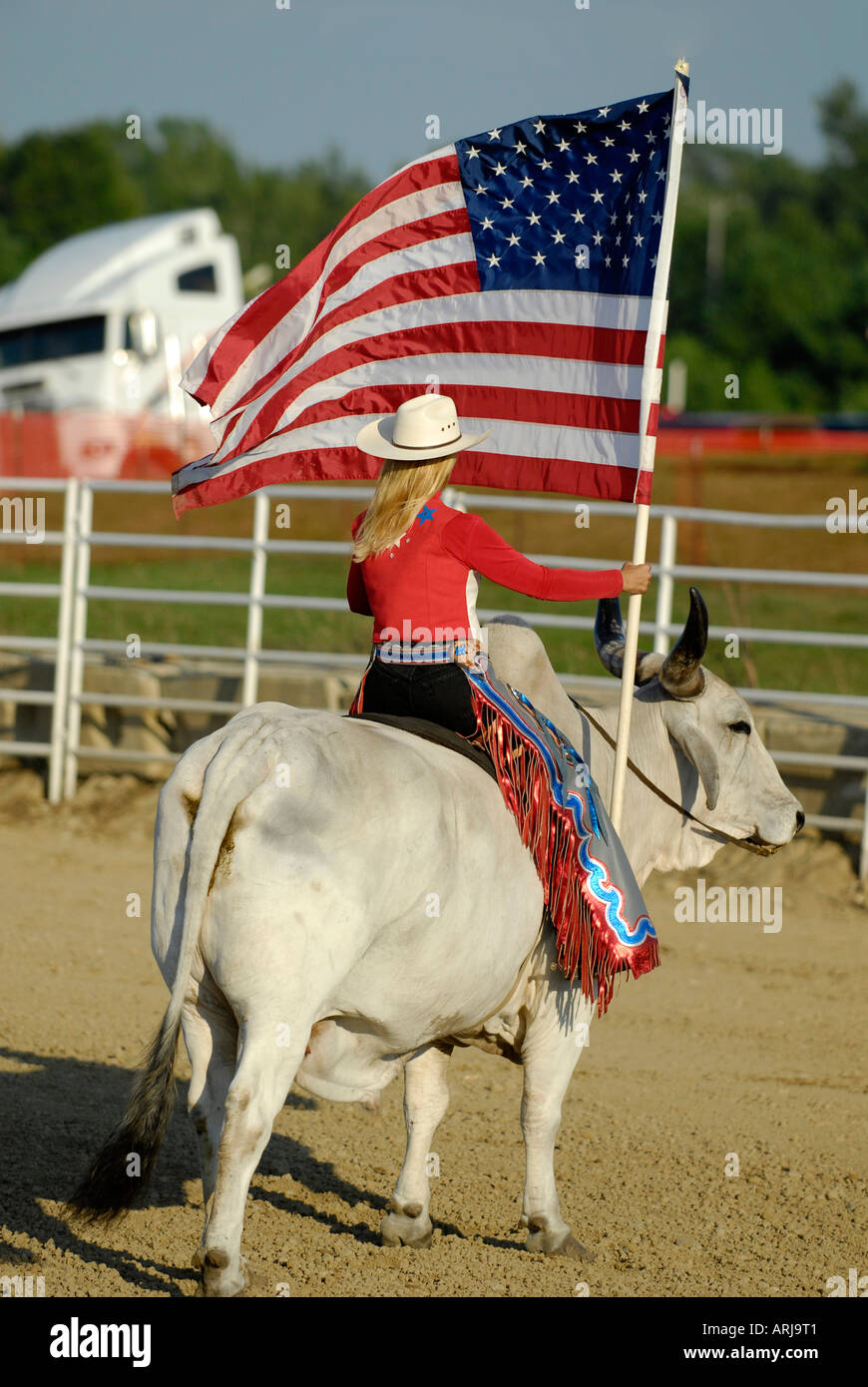 Female cowgirl rides a brama bull carrying flag in the ceremony ...