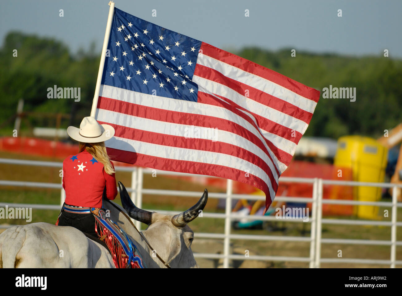Female cowgirl rides a brama bull carrying flag in the ceremony ...