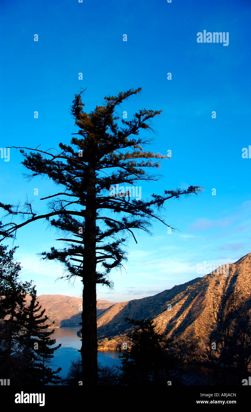 Silverwood lake hi-res stock photography and images - Alamy
