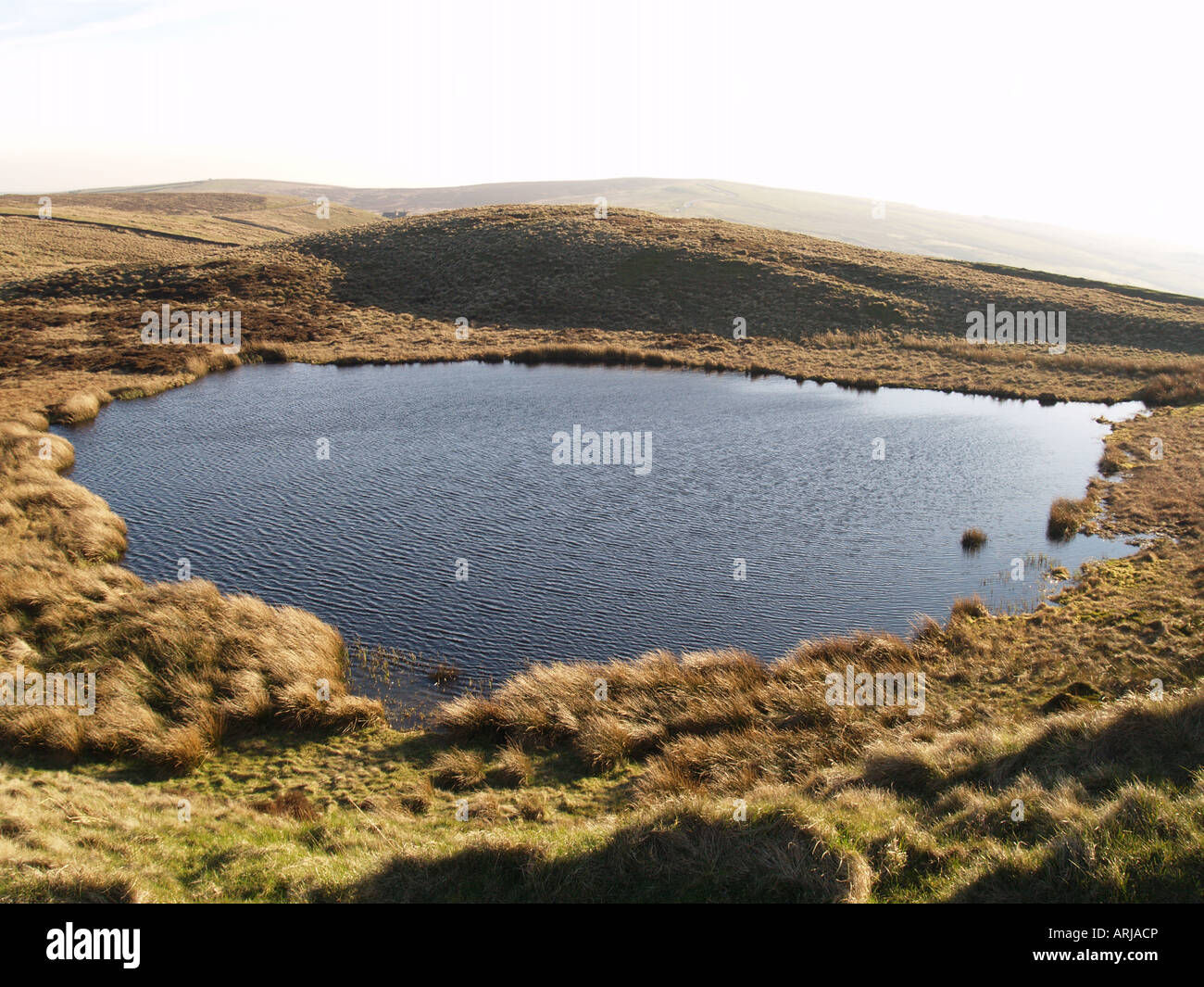 small water reflection tarn peat bog hilltop sunny Stock Photo - Alamy