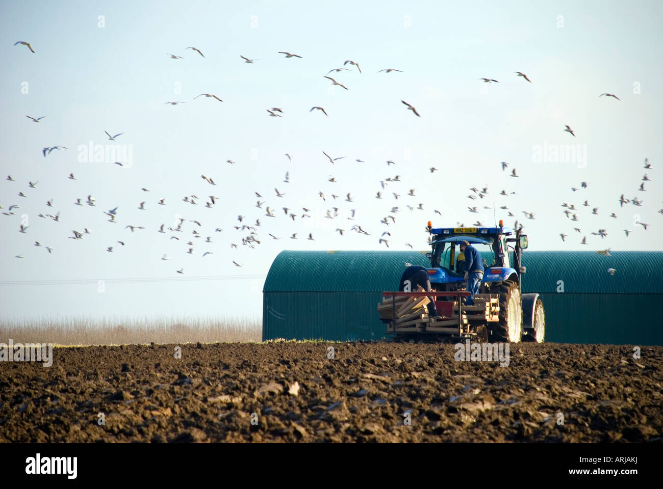 Potato Farm Ireland High Resolution Stock Photography and Images - Alamy