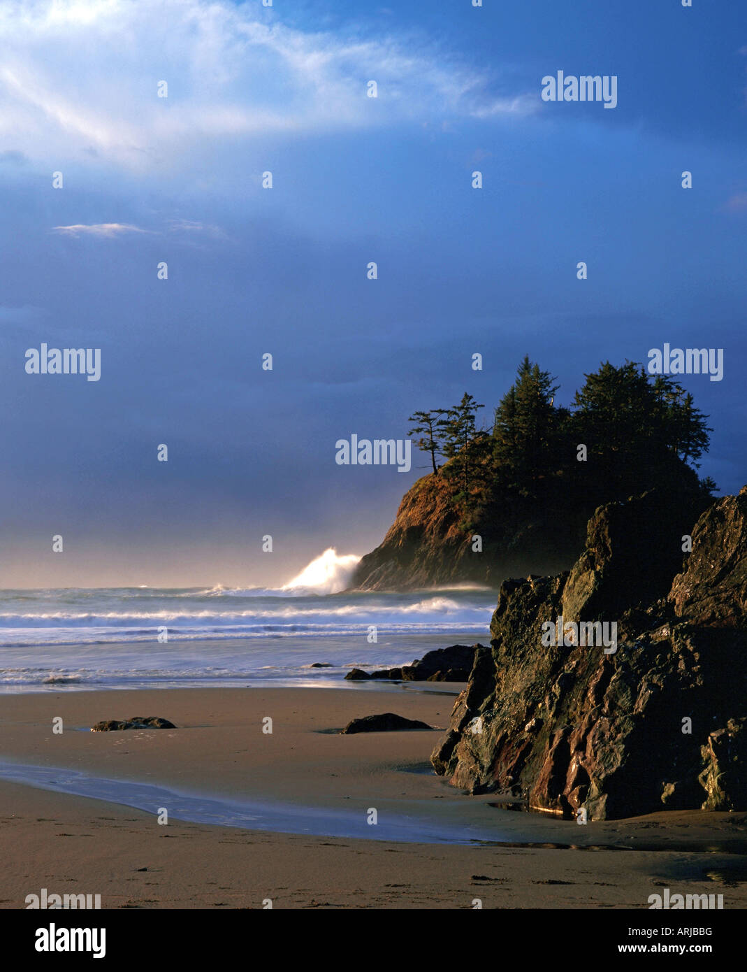 Trinidad state beach hi-res stock photography and images - Alamy