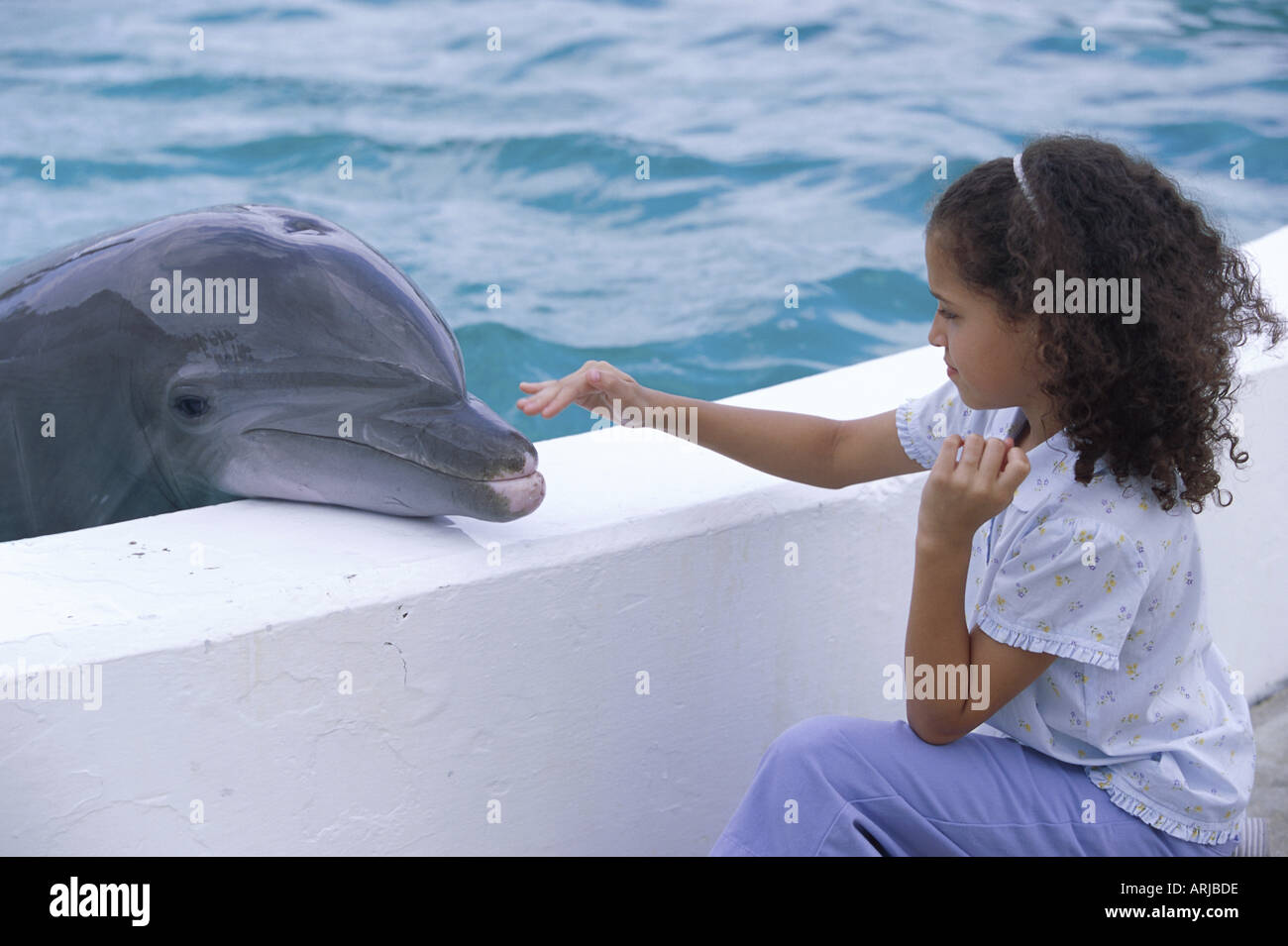 Girl petting dolphin hi-res stock photography and images - Alamy