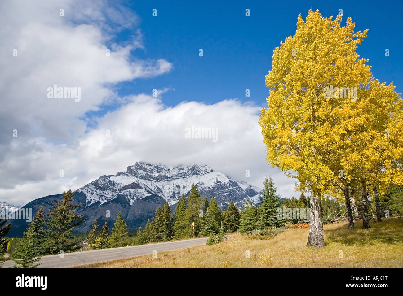 Colorful autumn leaves and beautiful fall outdoors nature landscapes of ...