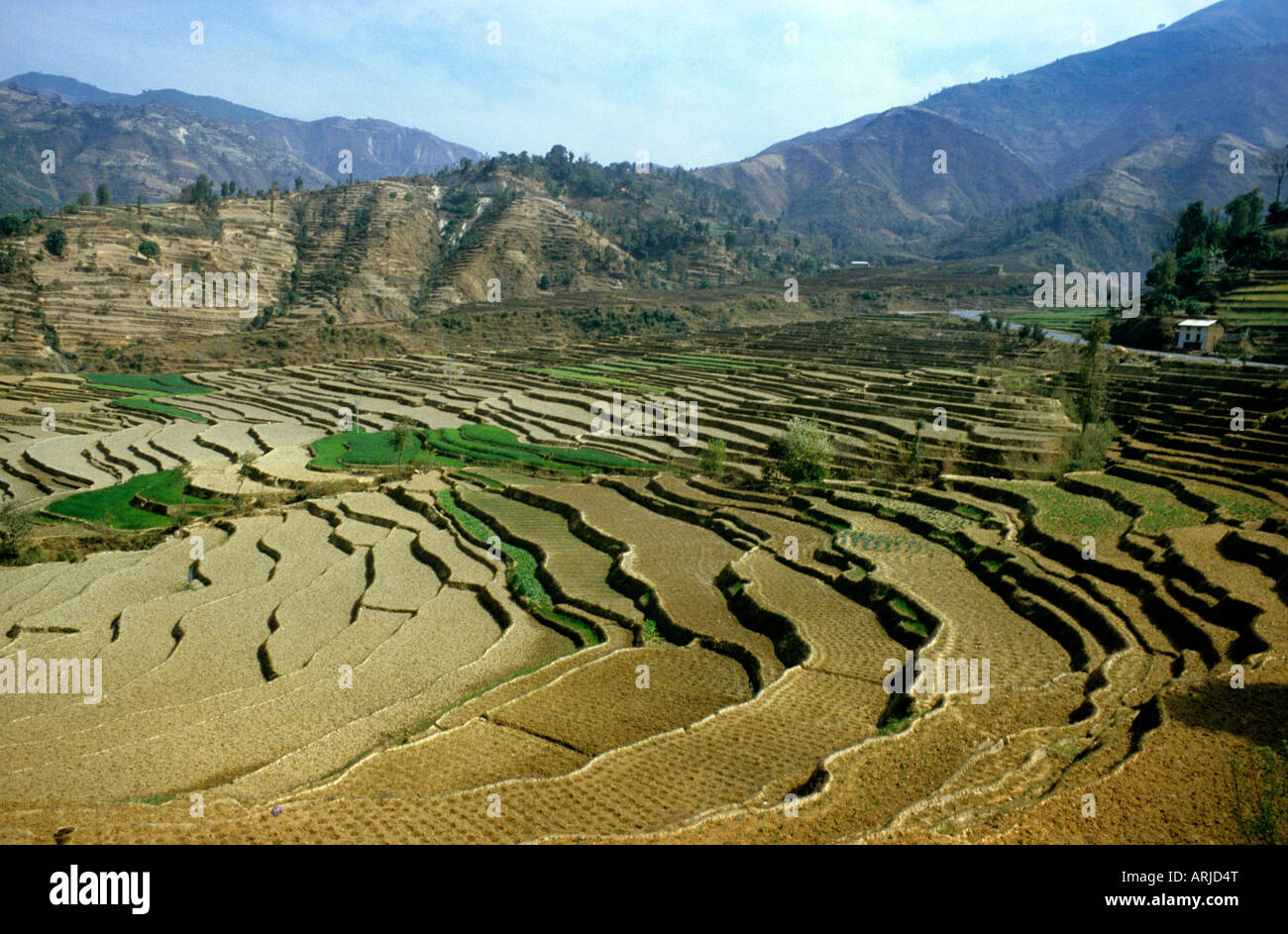 Terraces near Kathmandu, Nepal Stock Photo - Alamy