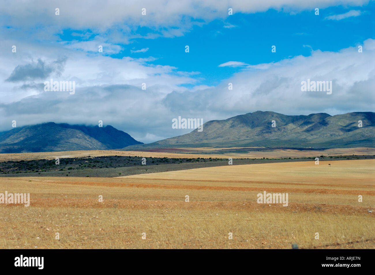 The Little Karoo, South Africa Stock Photo - Alamy
