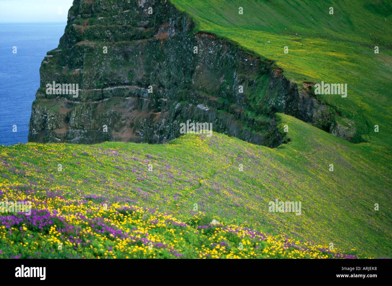 Hornstrandir nature reserve hi-res stock photography and images - Alamy