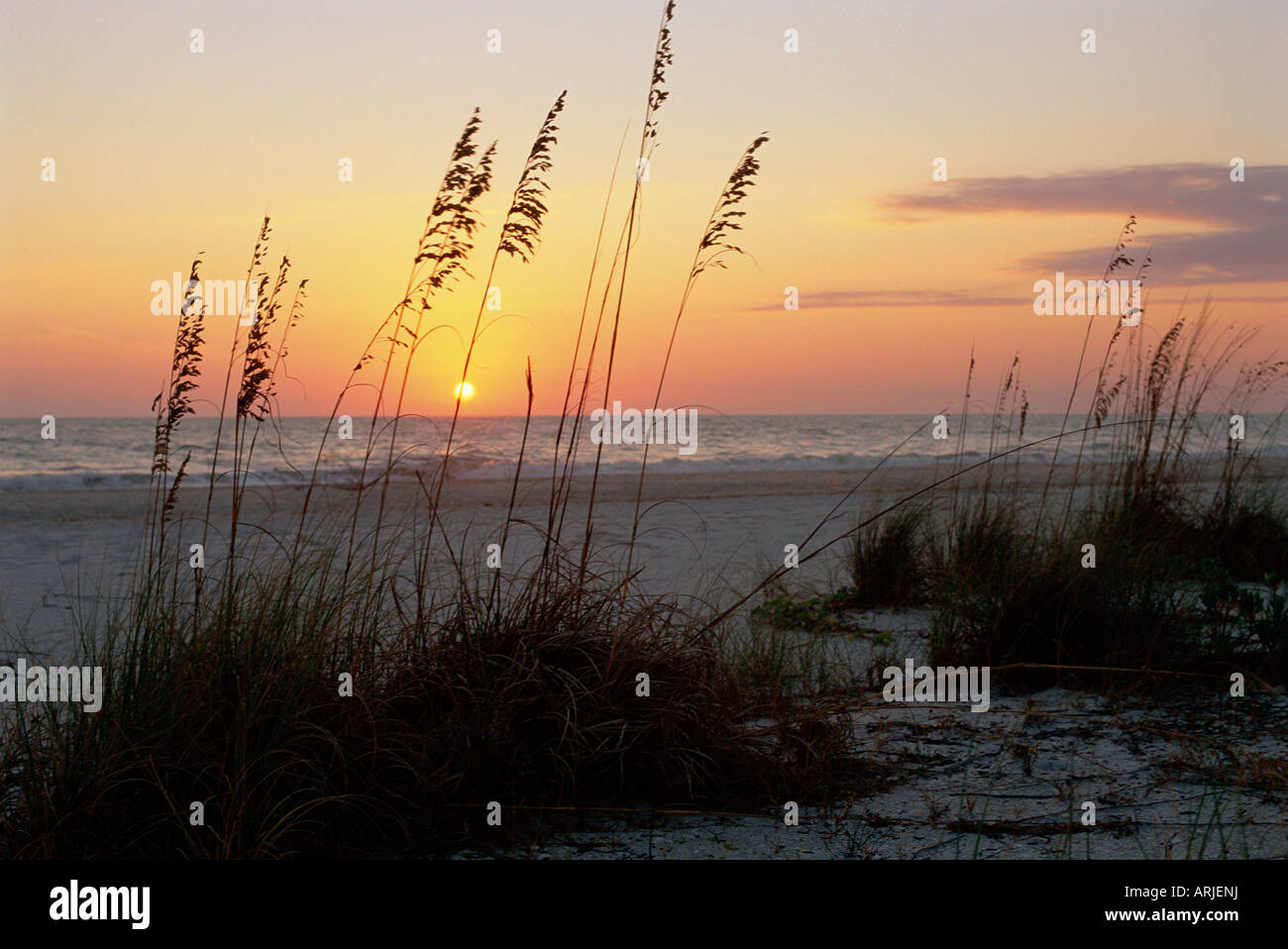 Anna maria key hi-res stock photography and images - Alamy