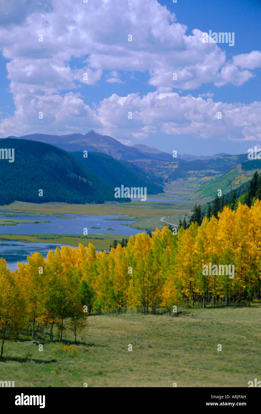 Rio Grande National Forest, Colorado, USA Stock Photo - Alamy