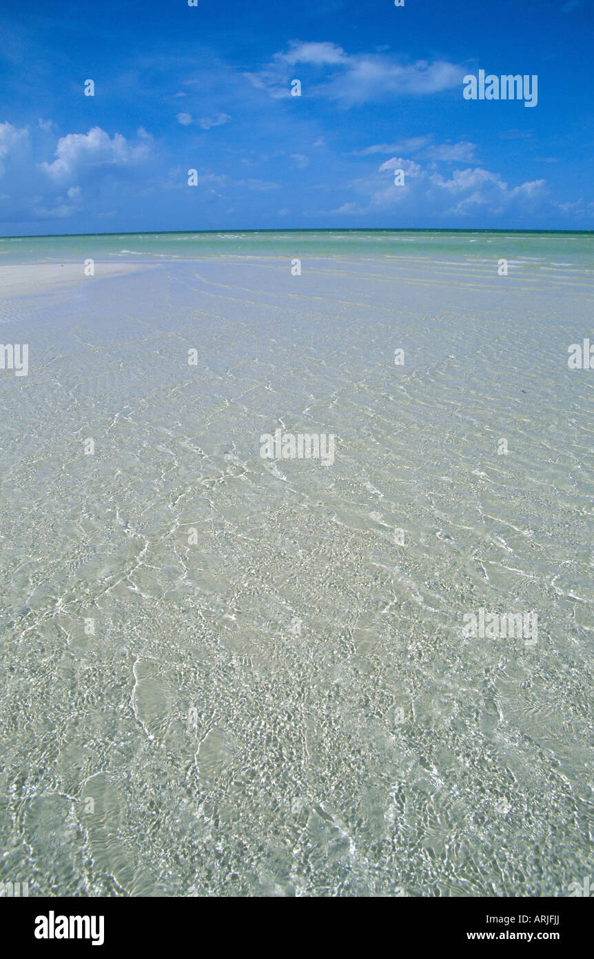 Andros island the bahamas hi-res stock photography and images - Alamy