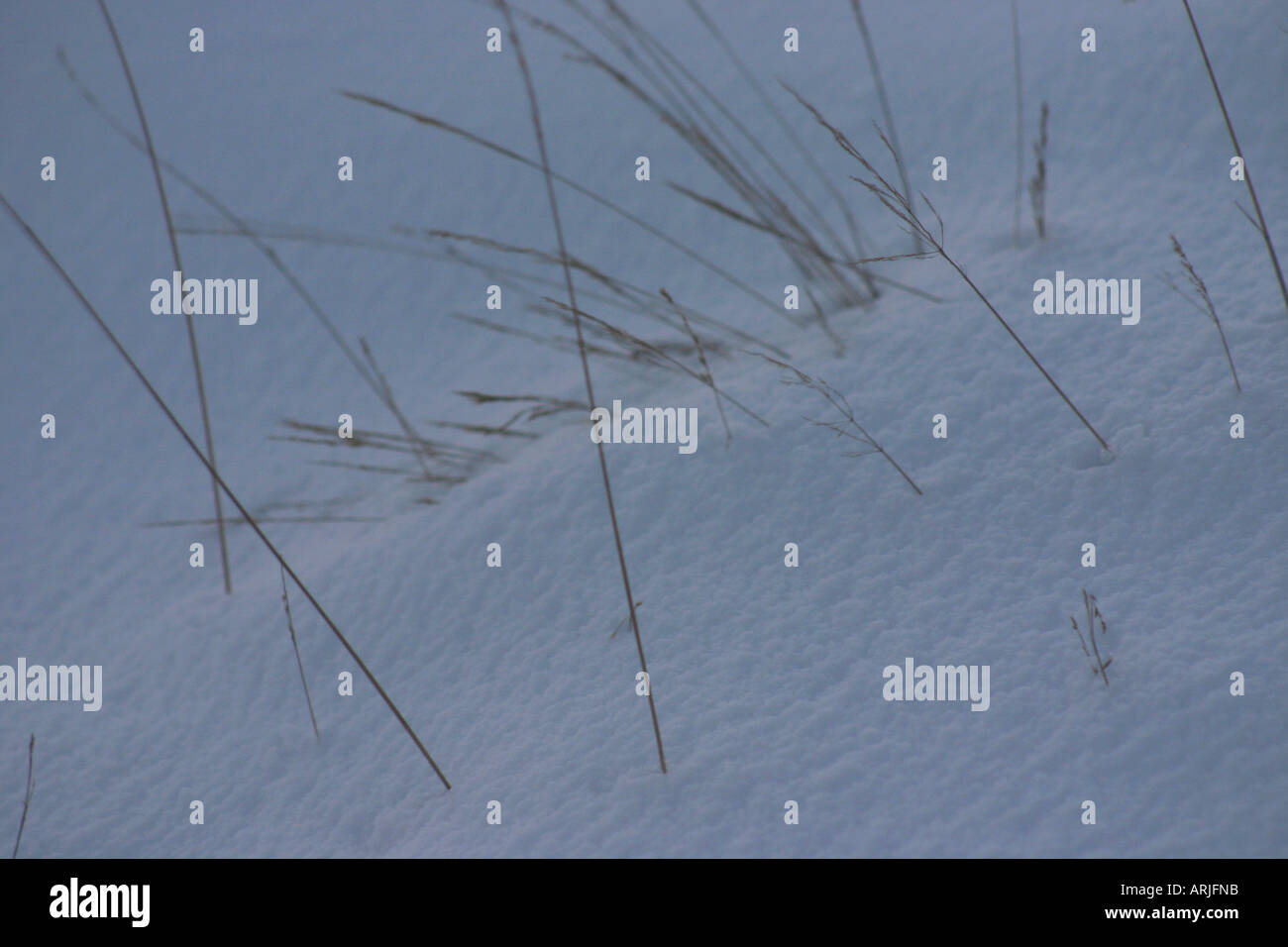 snow and grass Stock Photo - Alamy